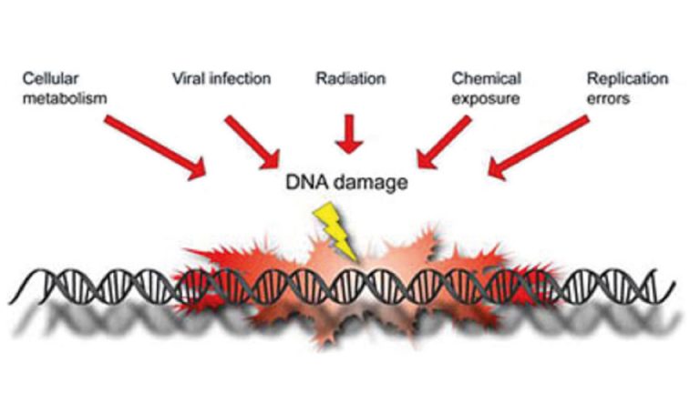Ionising Radiation and Cancer: Part 1 • Exposure Magazine